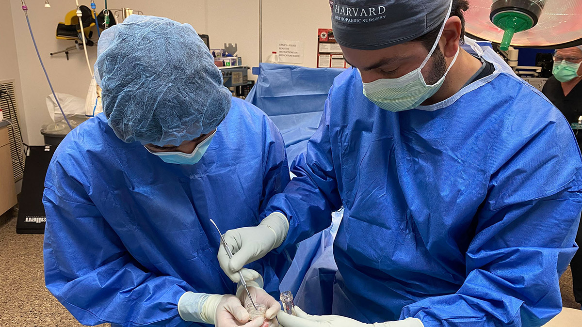 Orthopedic Surgeon – Oak Tree Orthopedics – Dr. Nasser Heyrani - Corona ...